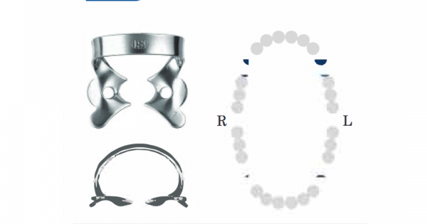 Bicuspid - Tiger Clamp Matt Winged #1AT